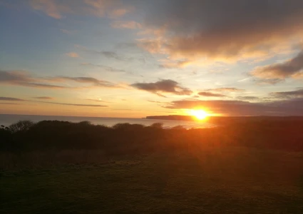 Home - Primrose Valley